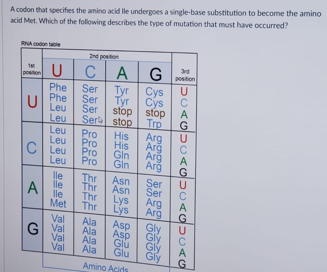 Solved A codon that specifies the amino acid lle undergoes a | Chegg.com