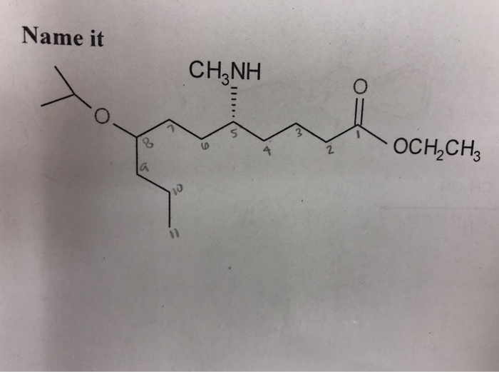 Solved Name it CH3NH 2 | Chegg.com