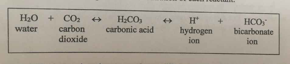 Solved + H2O water + CO2 carbon dioxide H2CO3 carbonic acid | Chegg.com