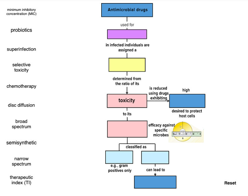 Solved minimum inhibitory concentration (MIC) Antimicrobial | Chegg.com