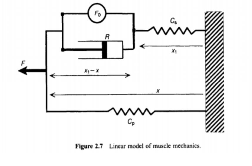 Solved Figure 2.7 Linear model of muscle mechanics. From | Chegg.com