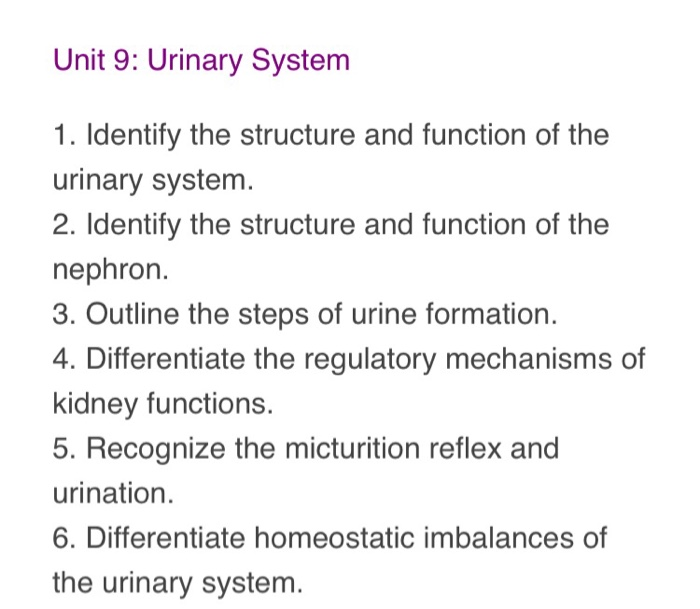 Functions Of Urinary System