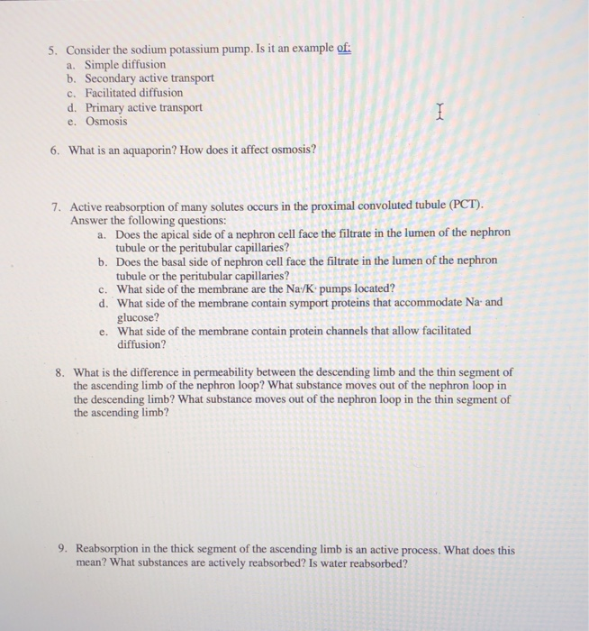 Solved Consider the sodium potassium pump. Is it an example | Chegg.com