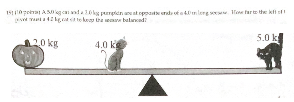 Solved 19) (10 points) A 5.0 kg cat and a 2.0 kg pumpkin are | Chegg.com
