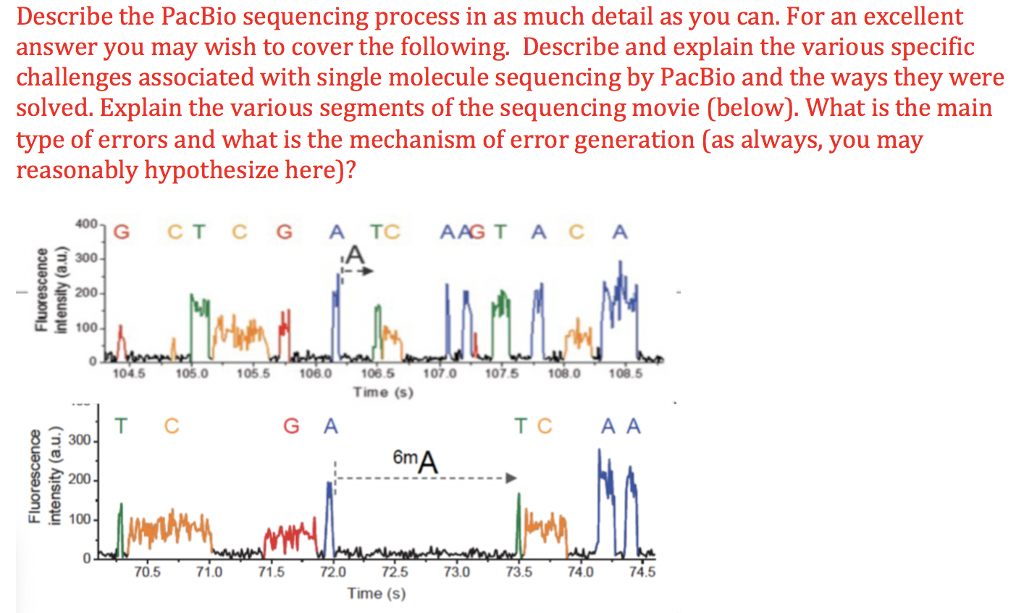 Solved Describe the PacBio sequencing process in as much | Chegg.com