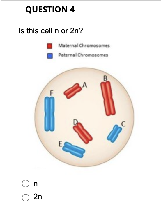 Solved Which of the following homologous pairs are matched | Chegg.com