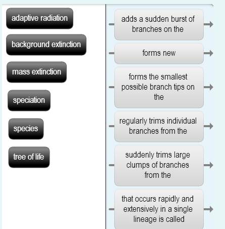 Solved Launch the Concept Map by clicking the button below. | Chegg.com