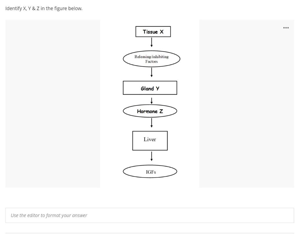 Solved Identify X,Y&Z in the figure below. | Chegg.com Solved Identify X,Y&Z in the figure below. | Chegg.com