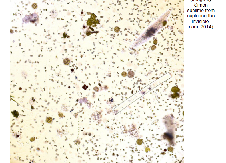 Solved Figure 2. Microscopic observation of a drop water | Chegg.com