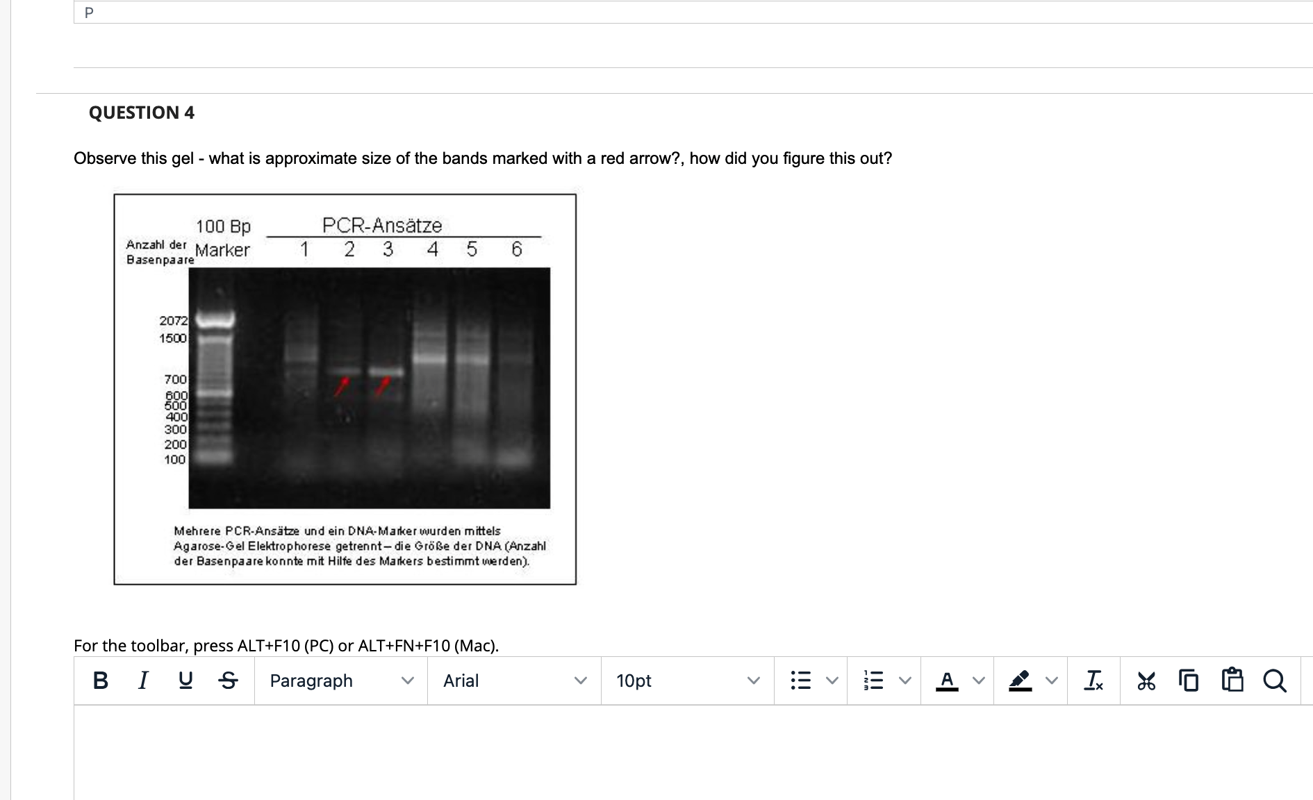 type in your answers explaining the questions | Chegg.com