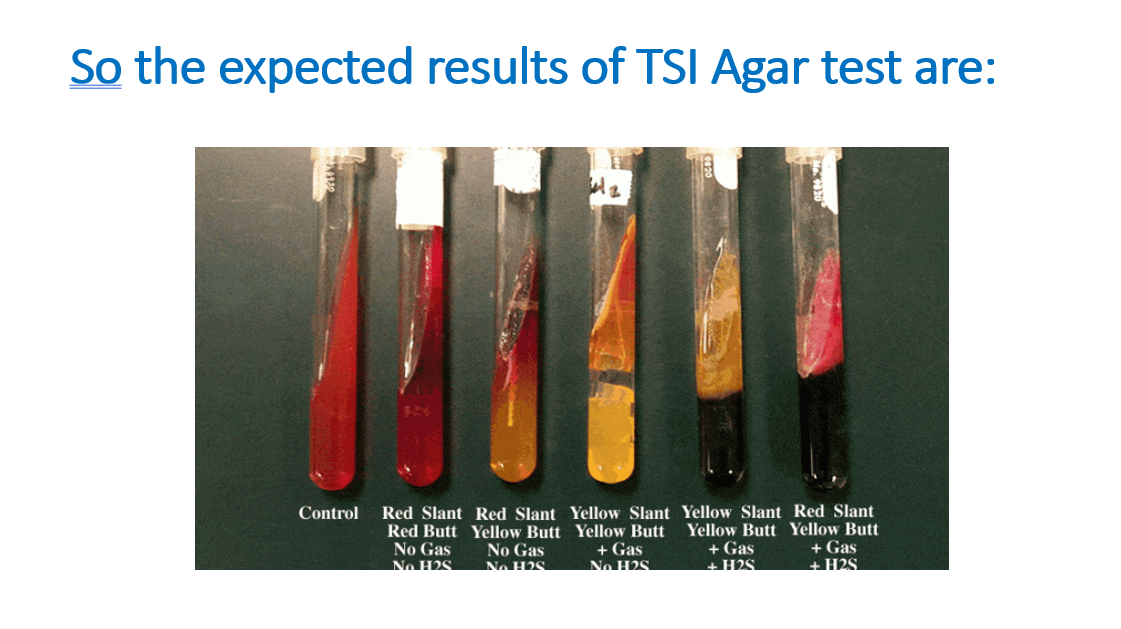 Please help me with this assignment, I am very backed | Chegg.com