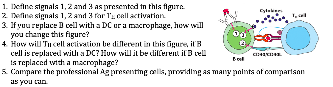 Solved 1. Define signals 1, 2 and 3 as presented in this | Chegg.com