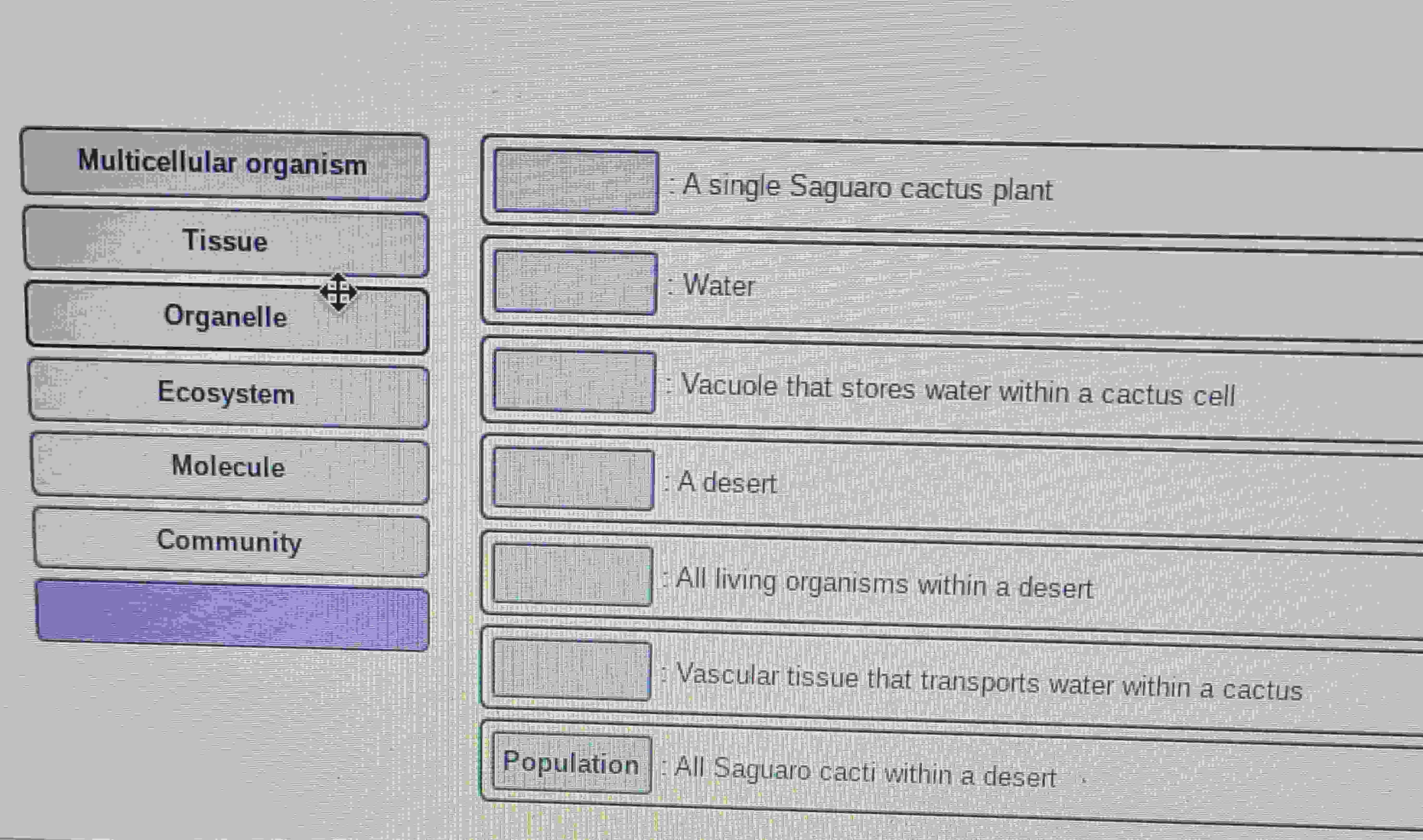 Solved \table[[Multicellular organism,,A single Saguaro | Chegg.com