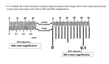 Solved 8+9. Calibrate the ocular micrometer using the stage | Chegg.com