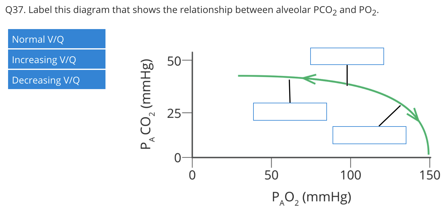 Solved Q37. Label this diagram that shows the relationship | Chegg.com