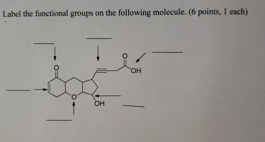 Solved Label the functional groups on the following | Chegg.com