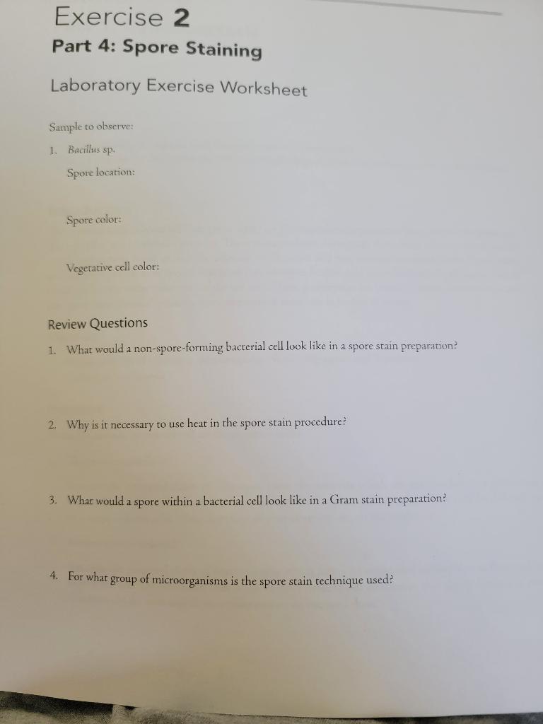 Solved Exercise 2 Part 4: Spore Staining Laboratory Exercise | Chegg.com