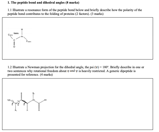 Solved 1. The peptide bond and dihedral angles (8 marks) 1.1 | Chegg.com