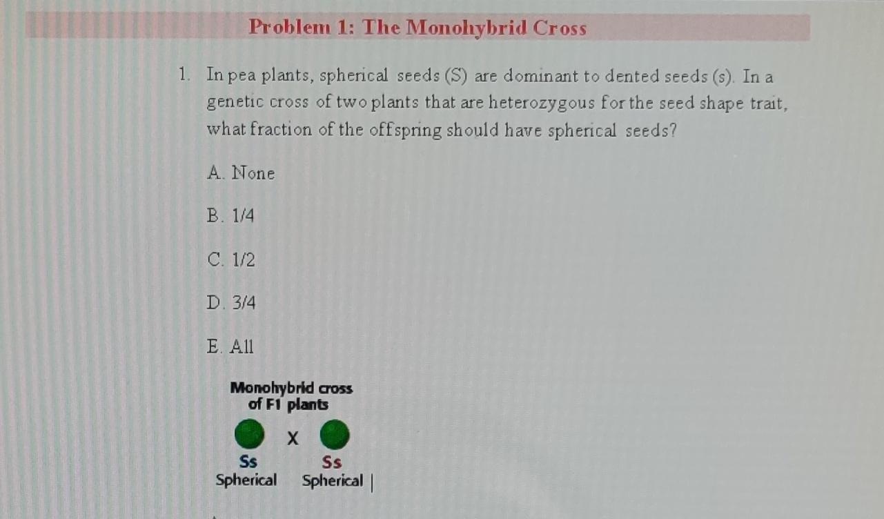 Solved Problem 1: The Monohybrid Cross 1. In pea plants, | Chegg.com