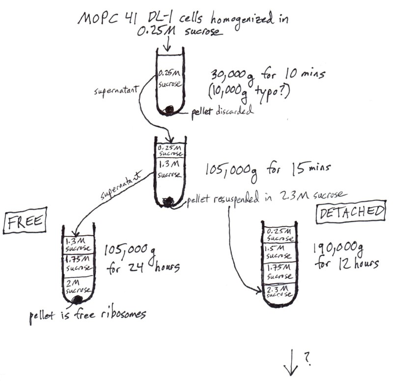 Redraw & complete the pictorial flowchart below to | Chegg.com