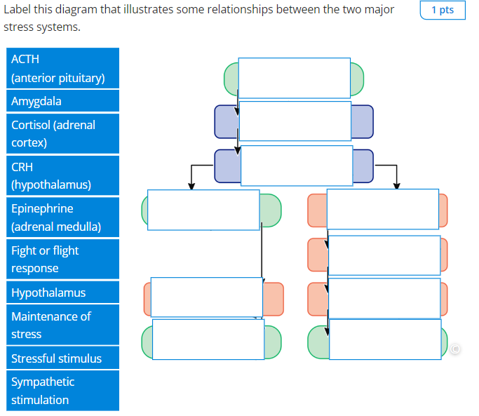 Solved Label this diagram that illustrates some | Chegg.com