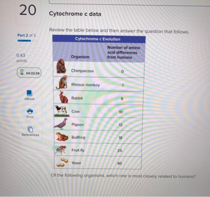 Solved 20 Cytochrome c data Review the table below and then | Chegg.com