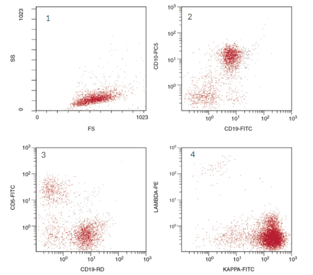 Solved Clinical Hematology; Discuss the flow cytometric | Chegg.com