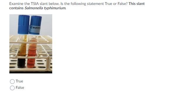 Solved Examine the TSIA slant below. Is the following | Chegg.com