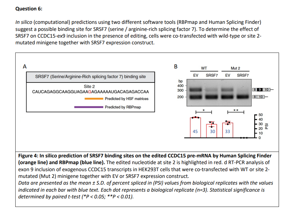 Question 6: In silico (computational) predictions | Chegg.com
