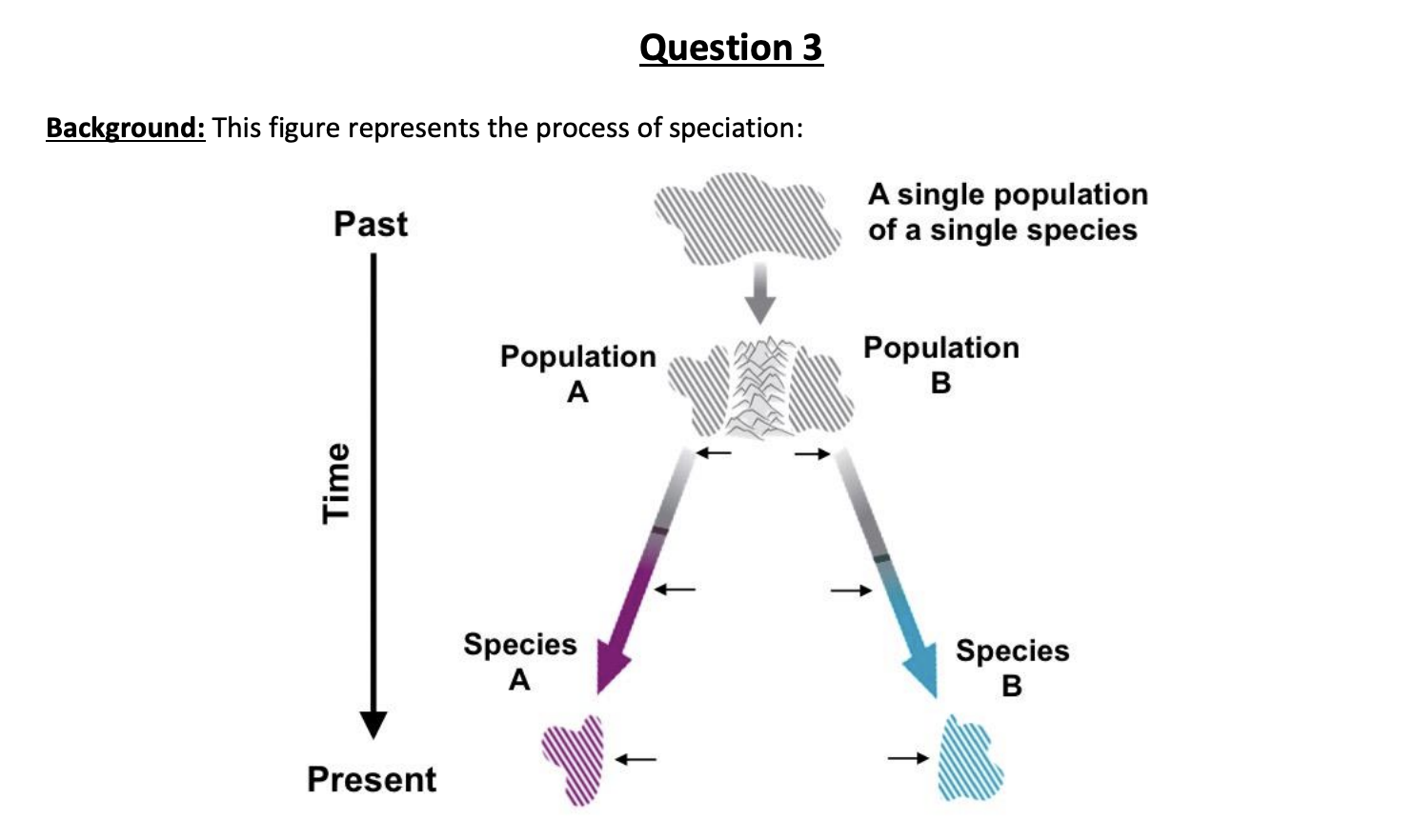 Solved 1. Describe the speciation process in your own words, | Chegg.com