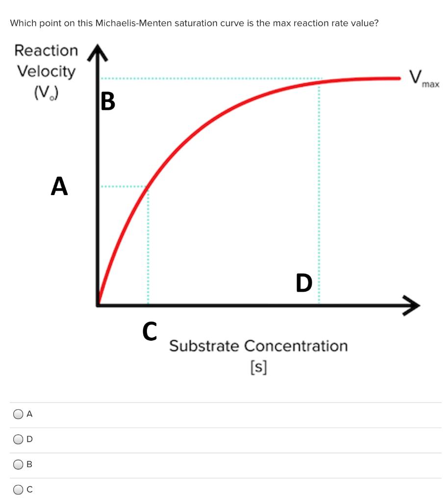 Solved Which point on this Michaelis-Menten saturation curve | Chegg.com