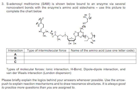 Solved 3. S-adenosyl methionine (SAM) is shown below bound | Chegg.com