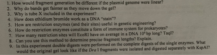 Solved 1. How would fragment generation be different if the | Chegg.com