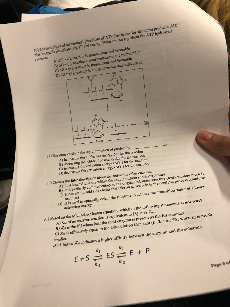 Solved 30) The hydrolysis of the terminal phosphate of ATP | Chegg.com