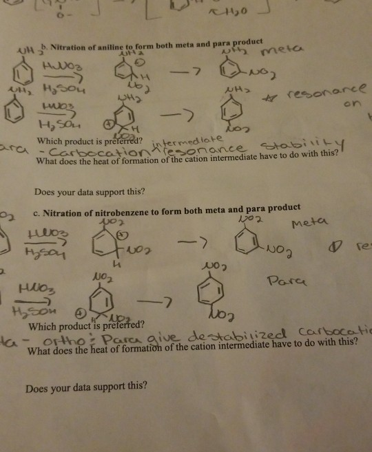 Solved uA b. Nitration of aniline to form both meta and para | Chegg.com