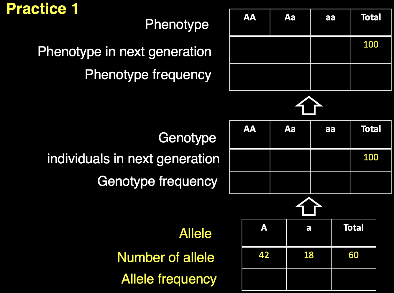 Solved Practice 1 AA Aa aa Total Phenotype 100 Phenotype in | Chegg.com