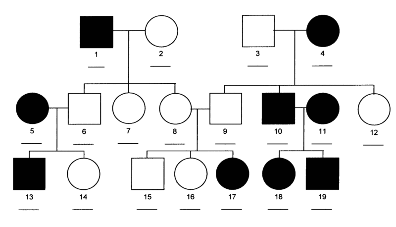 Solved The above pedigree shows a trait that is passed on in | Chegg.com