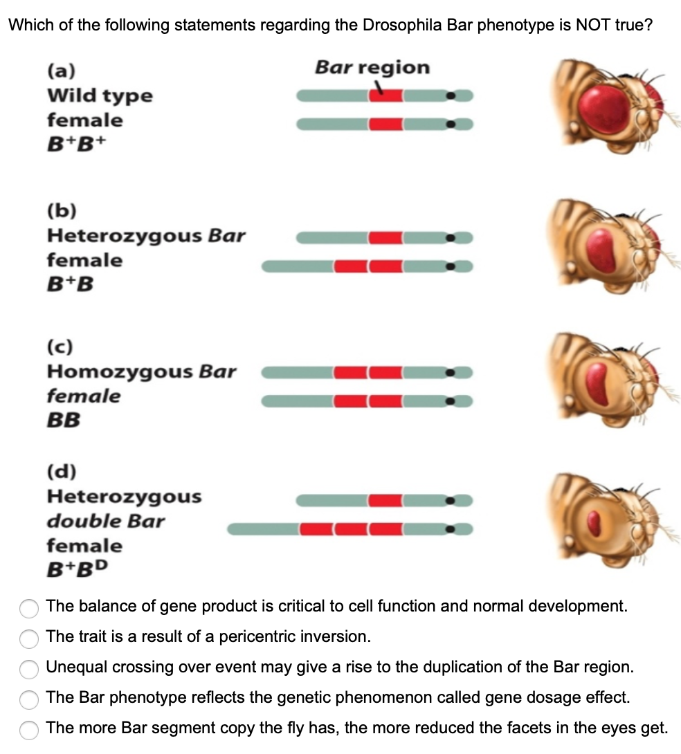 Solved Which of the following statements regarding the | Chegg.com