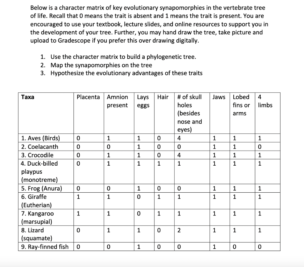 Solved Below is a character matrix of key evolutionary | Chegg.com