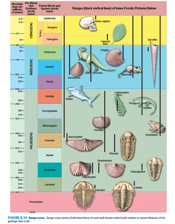 Just as fossils and rock layers record specific times | Chegg.com