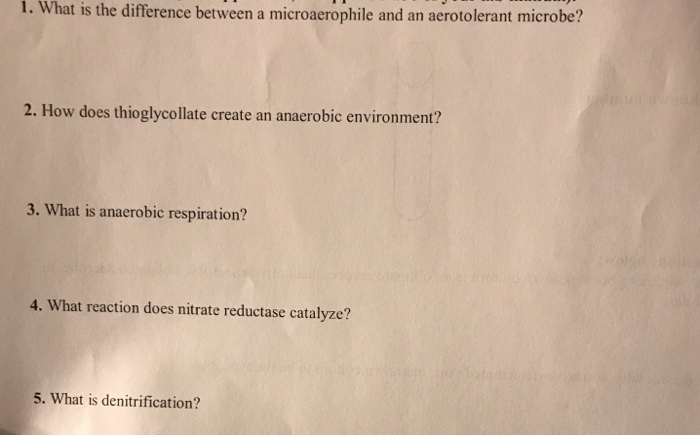 Solved 1. What is the difference between a microaerophile | Chegg.com