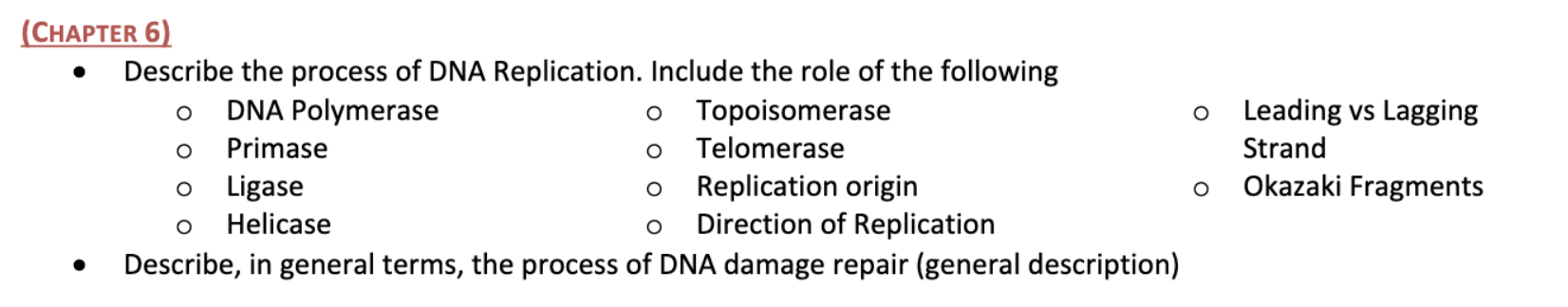 Solved - Describe the process of DNA Replication. Include | Chegg.com