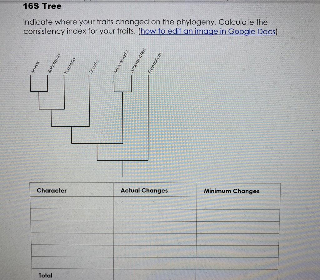 Below are two cladograms. The first is generated | Chegg.com