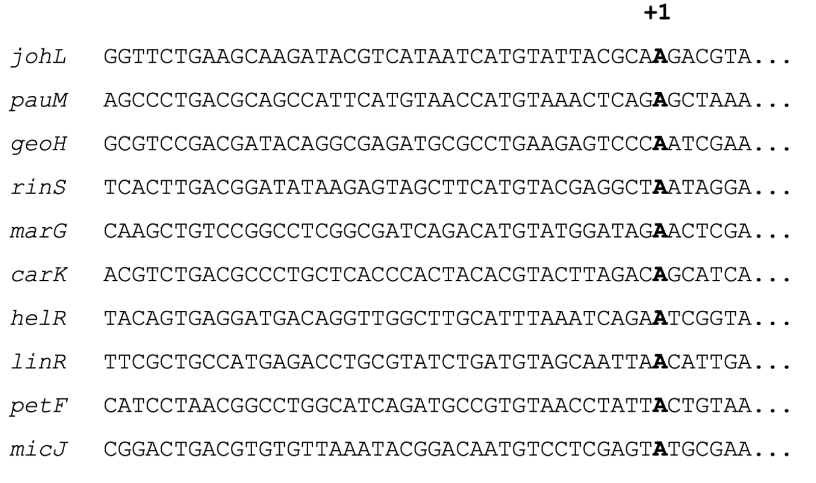 Solved Shown below are partial DNA sequences of genes from | Chegg.com