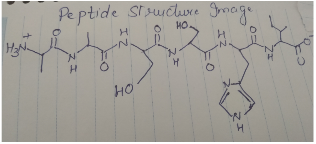 Solved Calculate the net charge of the peptide attached in | Chegg.com