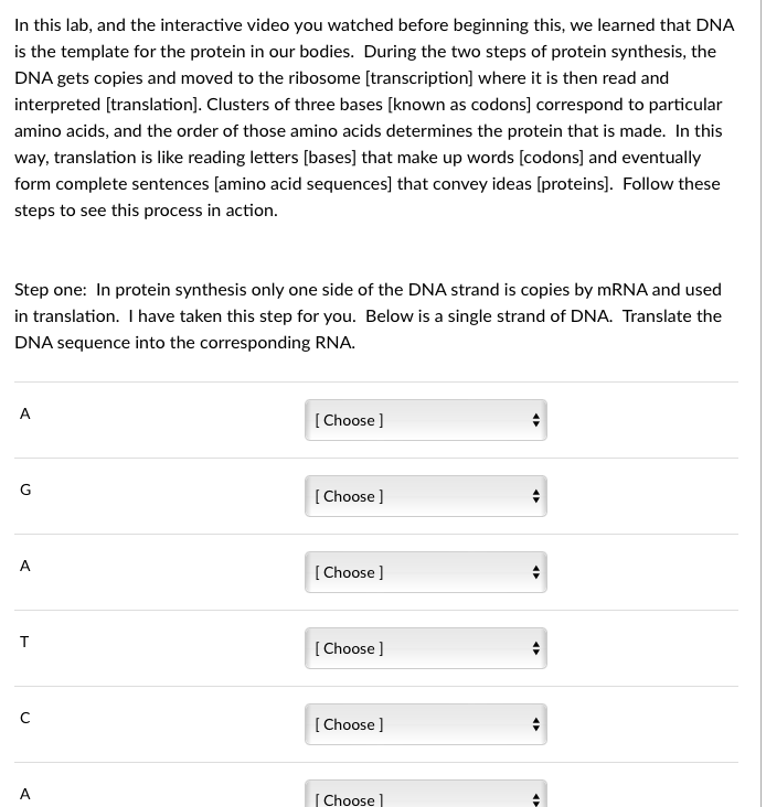 Solved In this lab, and the interactive video you watched | Chegg.com