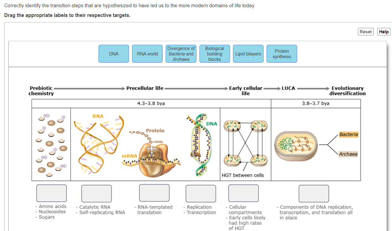 Solved Correctly identify the transition steps that are | Chegg.com
