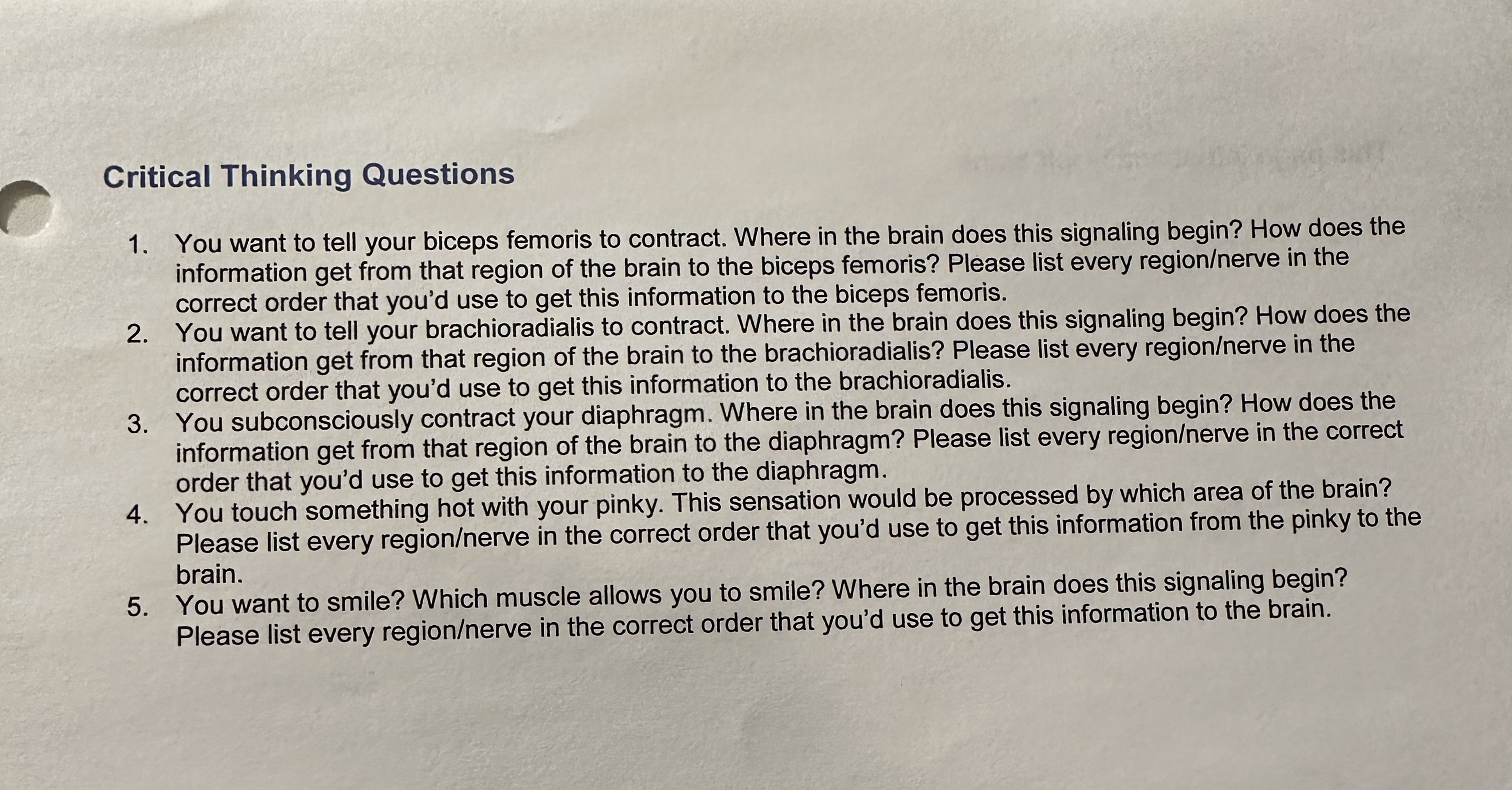 Solved Critical Thinking Questions 1. You want to tell your | Chegg.com