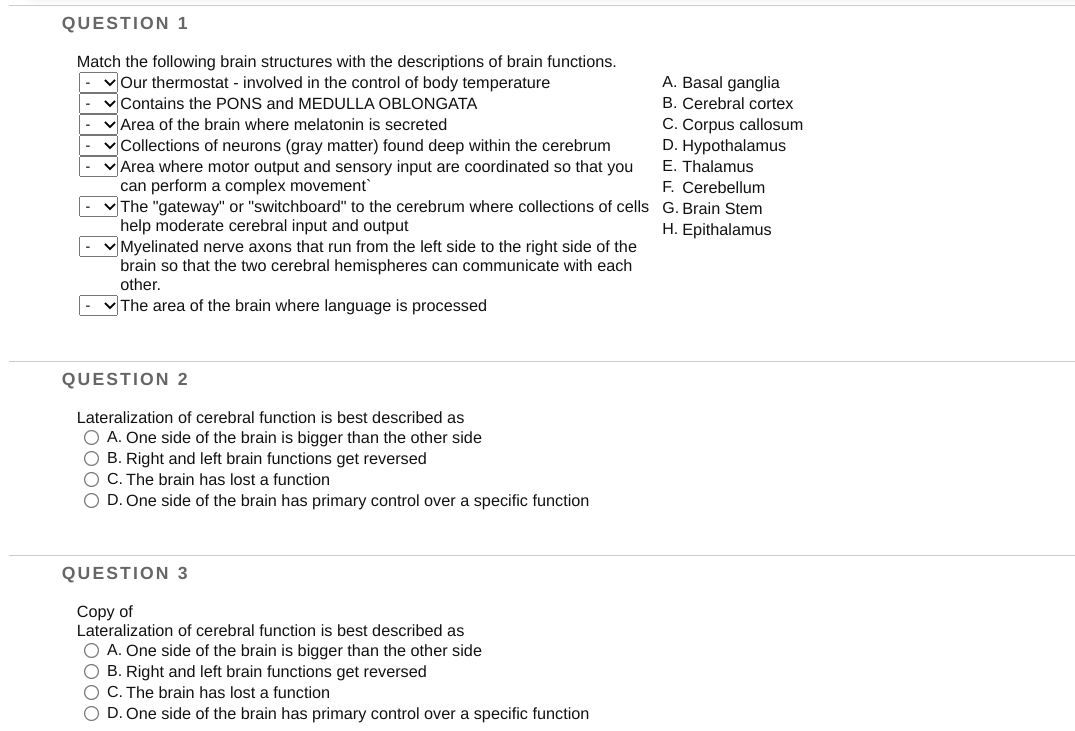 Solved QUESTION 1 Match the following brain structures with | Chegg.com