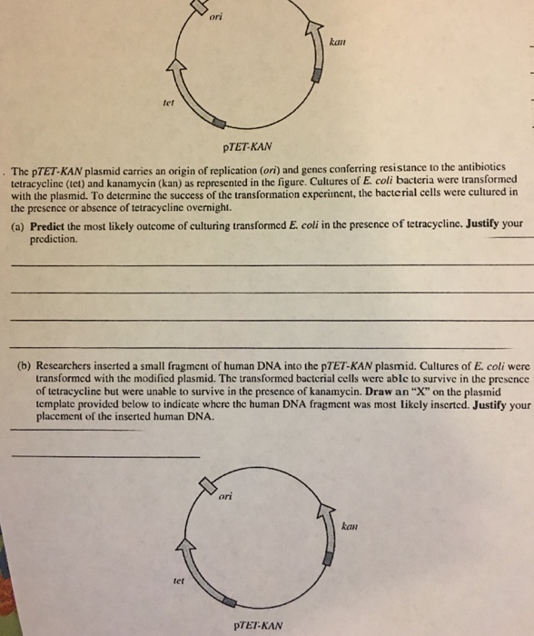 Solved The pTET-KAN plasmid carries an origin of | Chegg.com